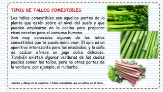 el tallo.pdf