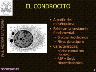 El Tejido Cartilaginoso Mcm | PPT