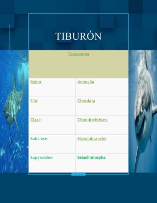 Diagrama De Esqueleto De Tiburon