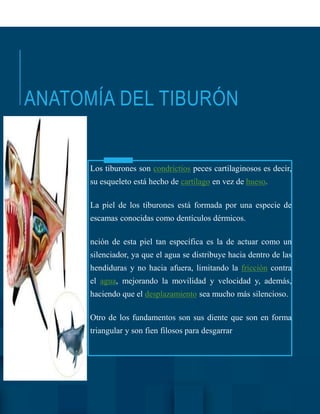 El tiburon | PPTX