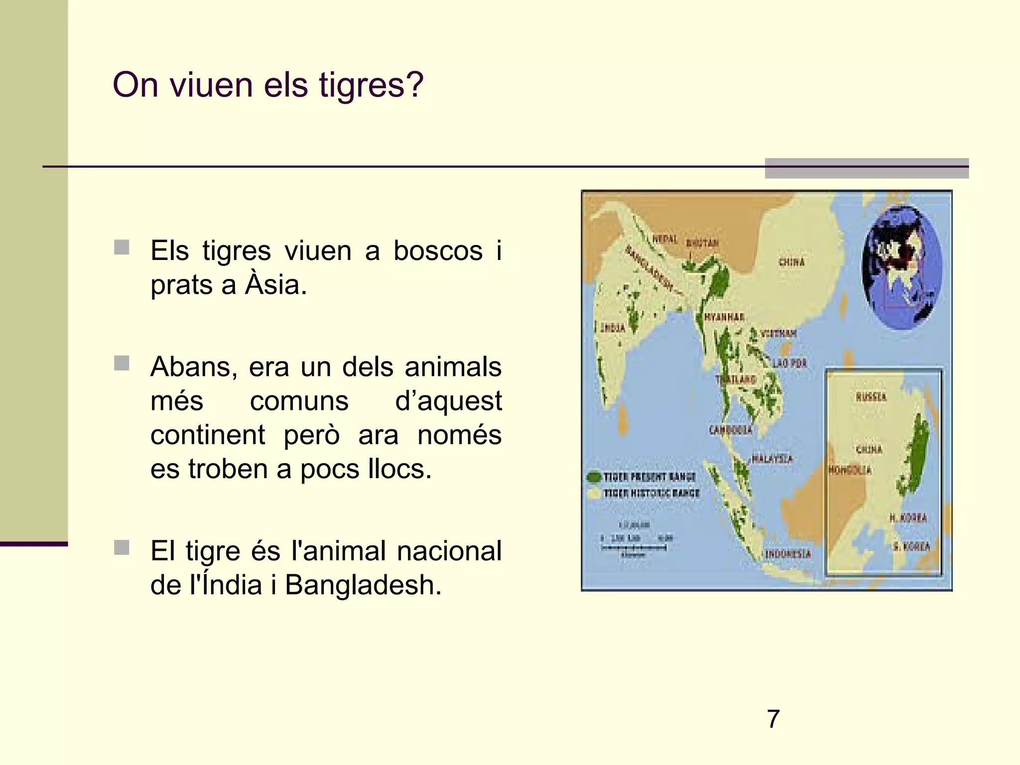 El tigre | PPT