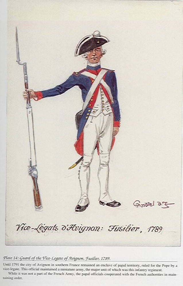 Elting napoleonic uniforms vol.1 | PDF