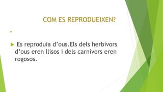 El tiranosaure rex Carla Remolà | PPT