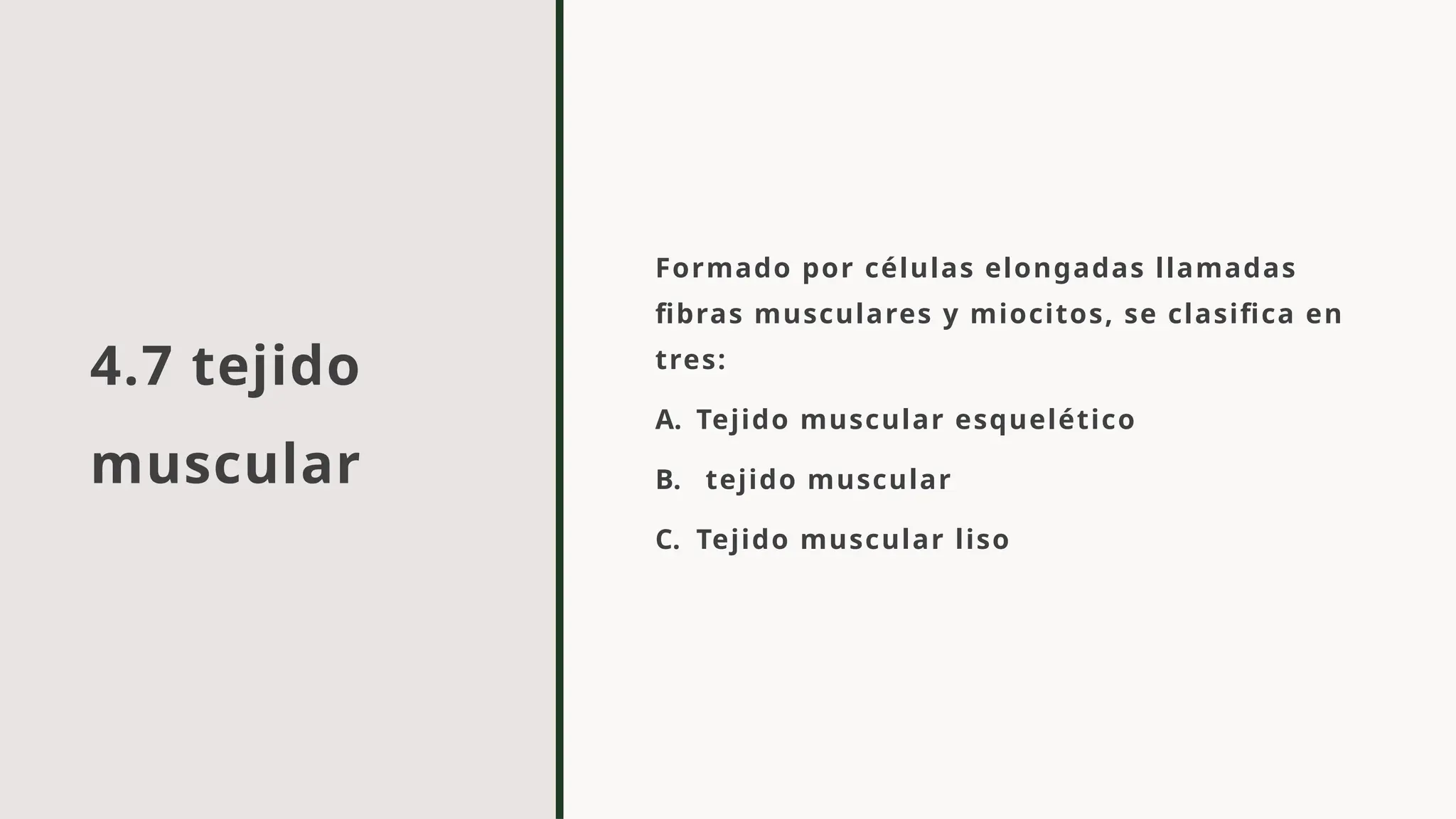 el_tisular_de_organización.pptx......... | PPTX