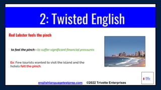 ELTPR024 - Vocabulary Lesson 12 - Twisted English Terms | PPT