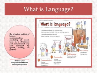 Bilingualism: Skill or Limitations | PPT