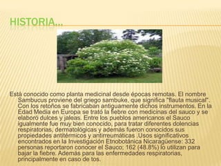 El trabajo de sauco[1] | PPTX
