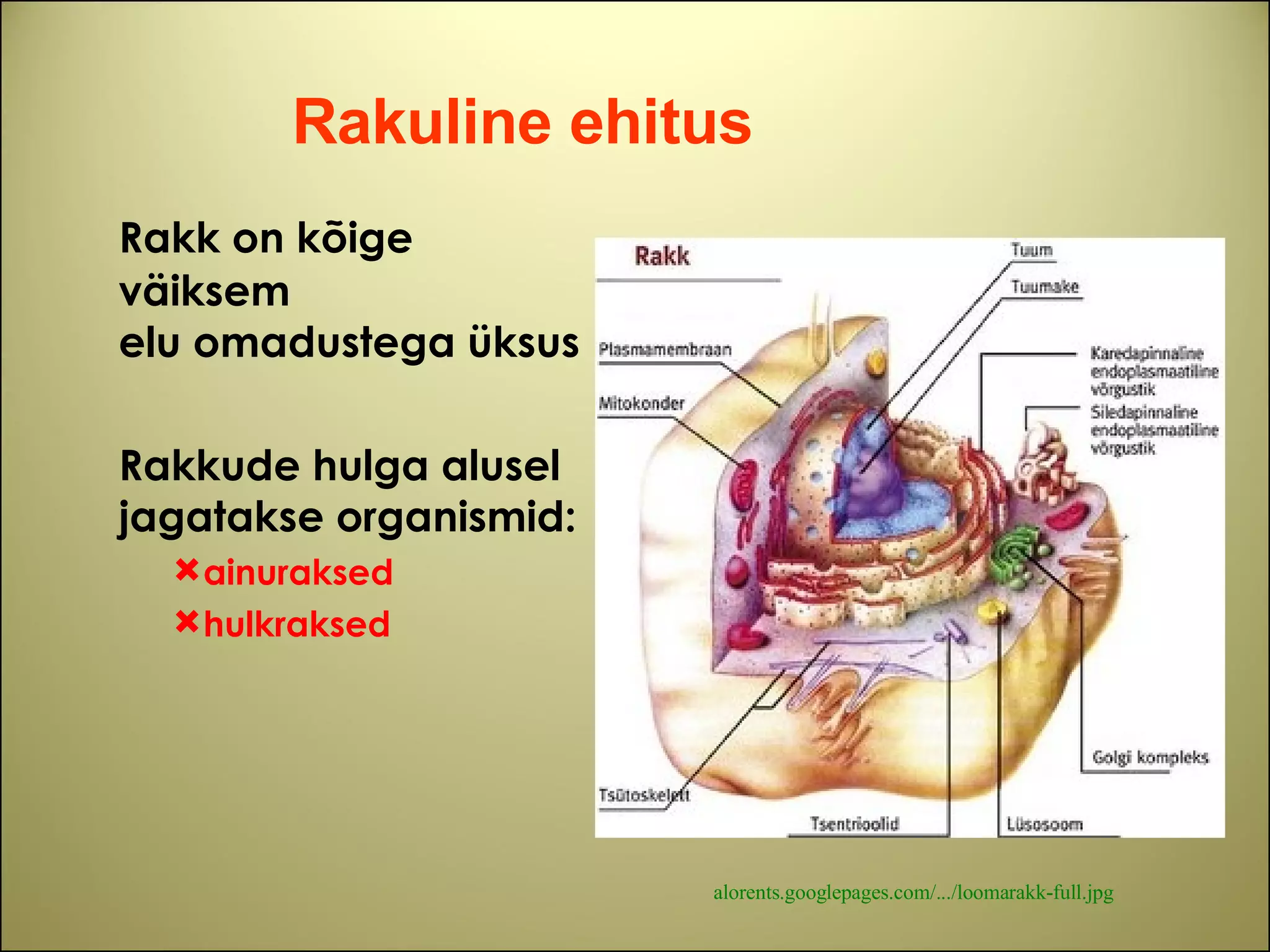 Elu Omadused | PPT
