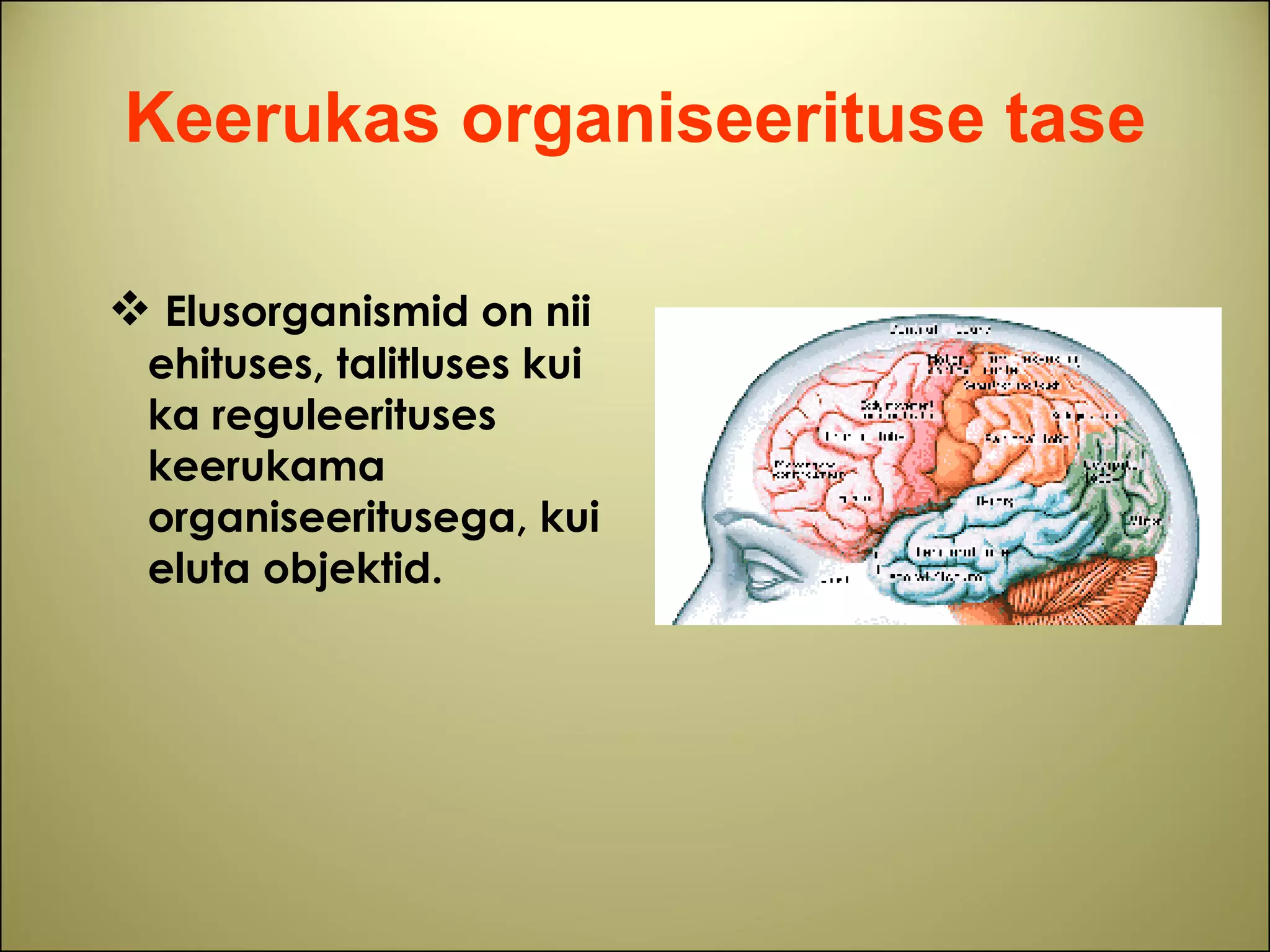 Elu Omadused | PPT