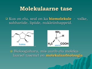 Elu Organiseerituse Tasemed | PPT