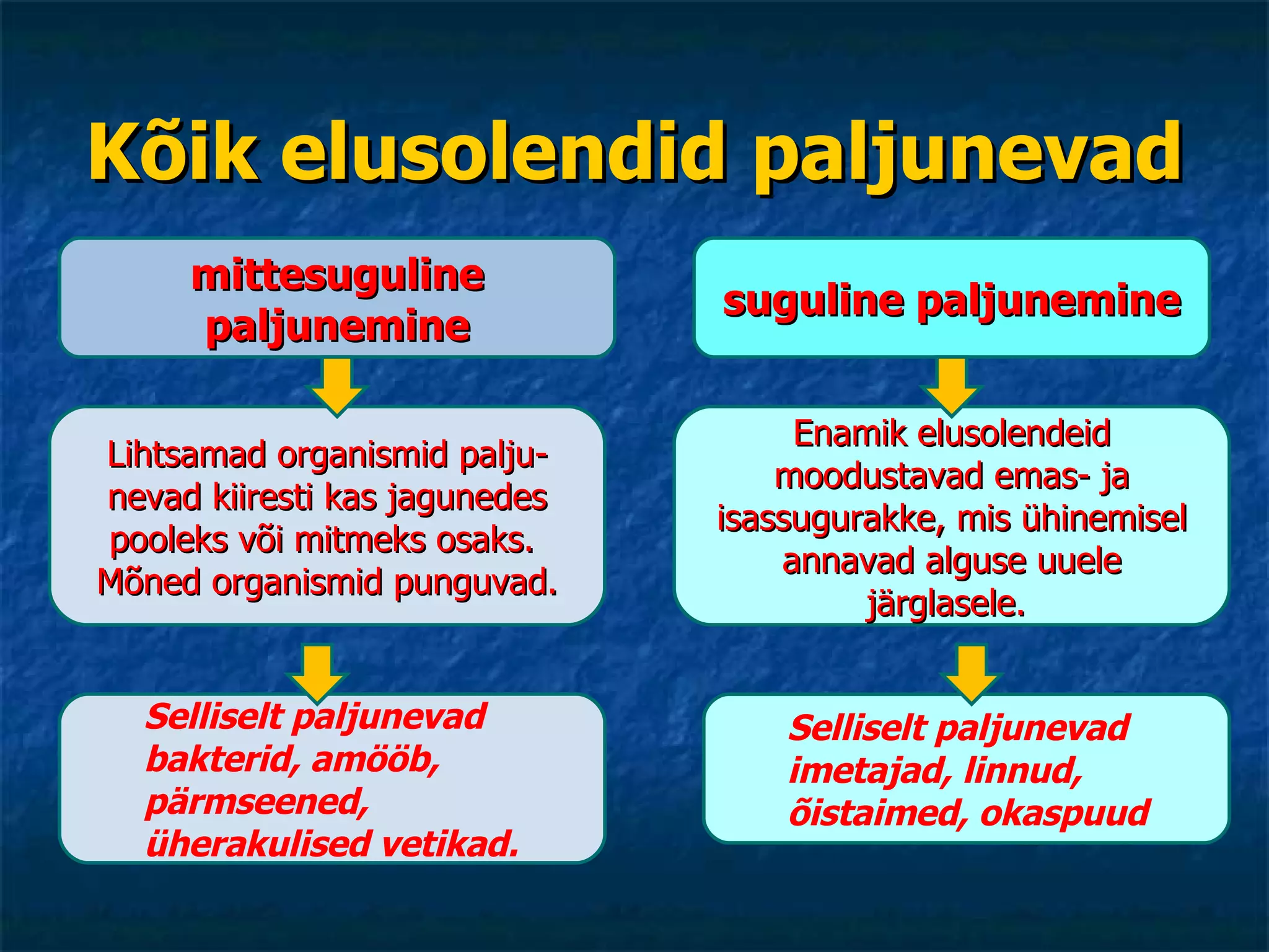 Eluavaldused | PPT