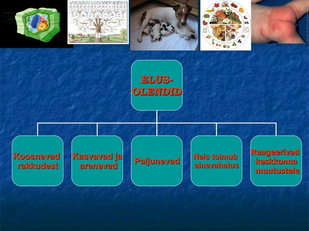 Eluavaldused | PPT