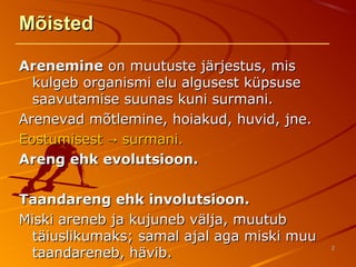 Elukaar | PPT