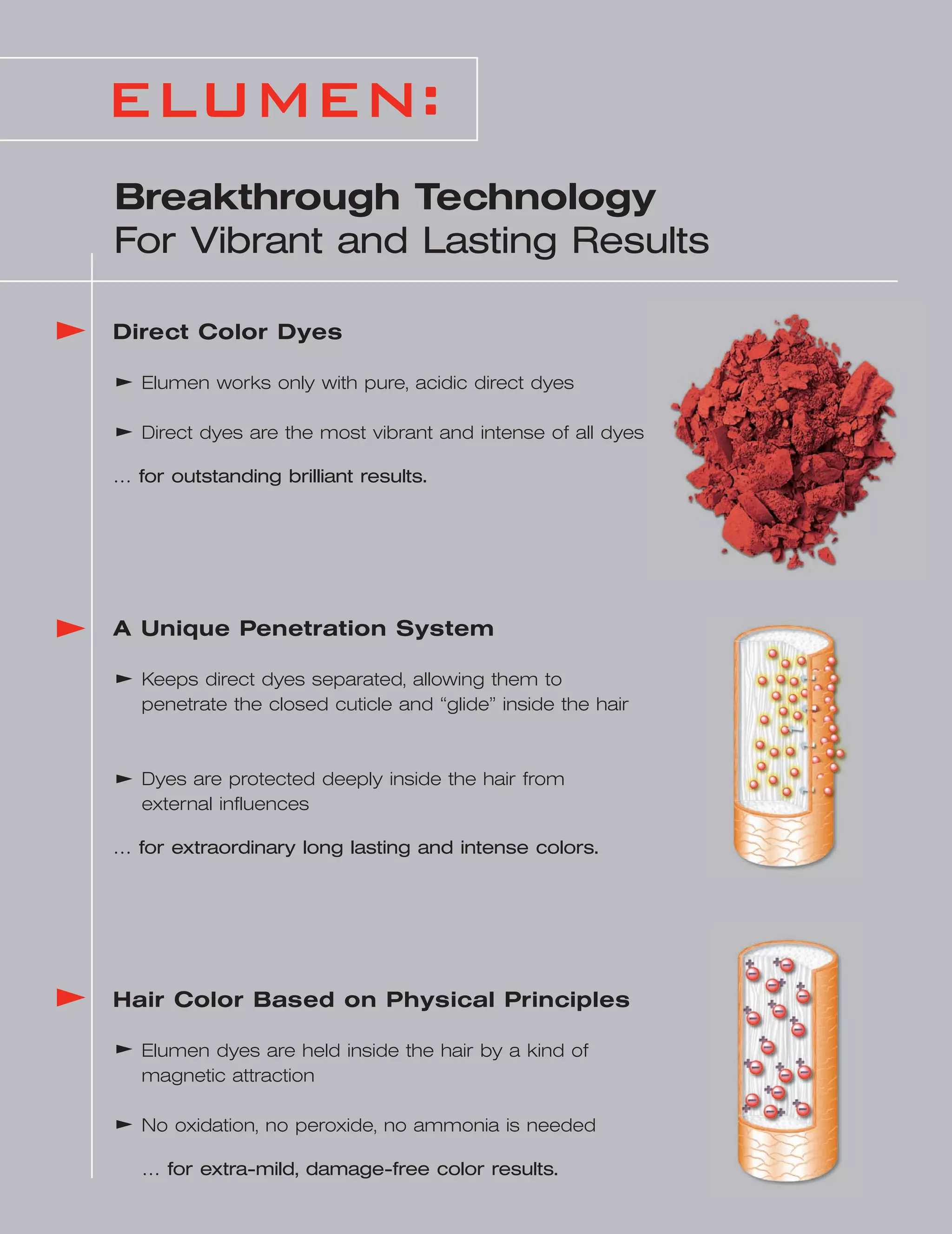 Elumen Sales Brochure | PDF