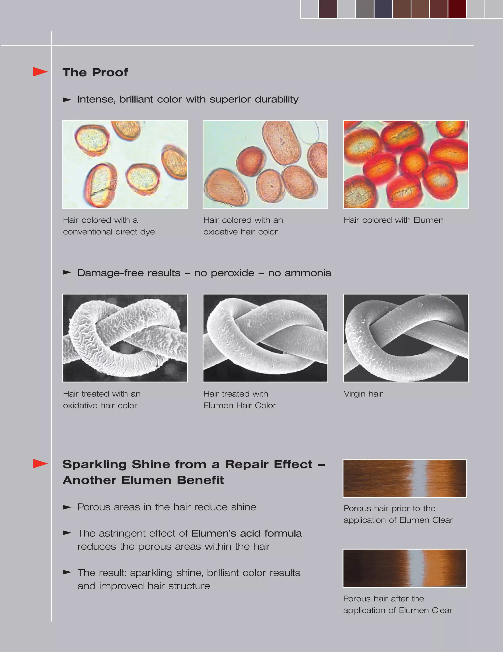 Elumen Sales Brochure | PDF
