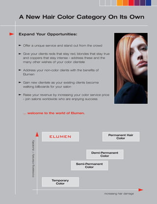 Elumen Sales Brochure | PDF