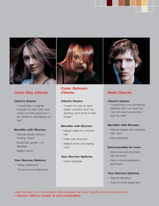 Elumen Sales Brochure | PDF