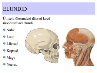 Elundid ja elundkonnad | PPT