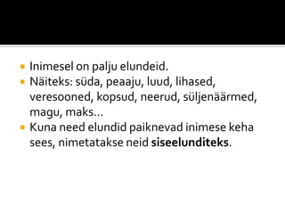 Elundid ja elundkonnad | PPTX