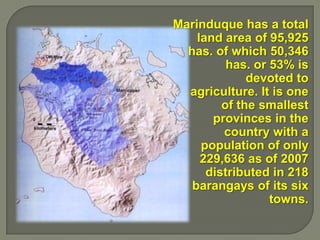 MARINDUQUE MINING: ELUSIVE JUSTICE, ELUSIVE DEVELOPMENT | PPT