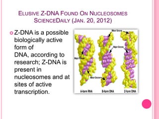 Elusive z dna found on nucleosomes and flatworm flouts | PPTX
