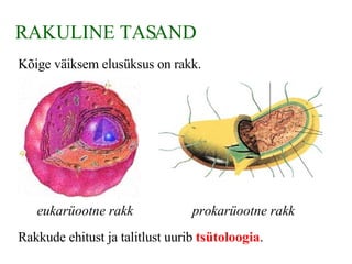 Eluslooduse organiseerituse tasemed | PPT