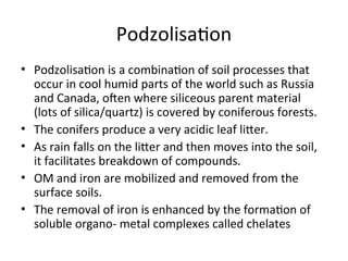 eluviation and illuviation soil (2).ppt