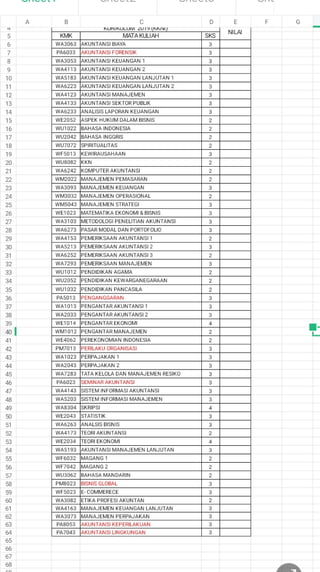 Elvi Desrianti La'lang 6160301180183.pdf