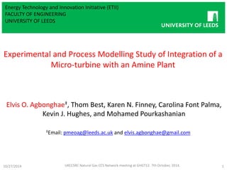 Experimental and Process Modelling Study of Integration of a Micro ...