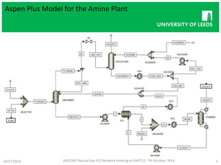 Experimental and Process Modelling Study of Integration of a Micro ...