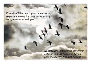 El vuelo de los gansos | PPTX