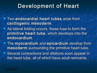 EMBRYOLOGY OF CVS | PPT
