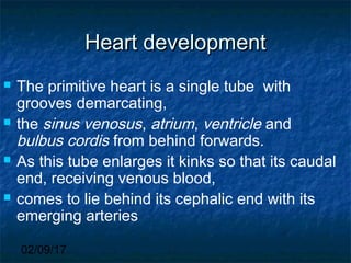 EMBRYOLOGY OF CVS | PPT