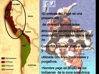El Yage | PPT