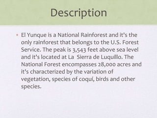 El Yunque RISE | PPTX