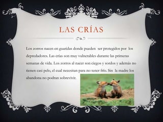 El zorro | PPTX