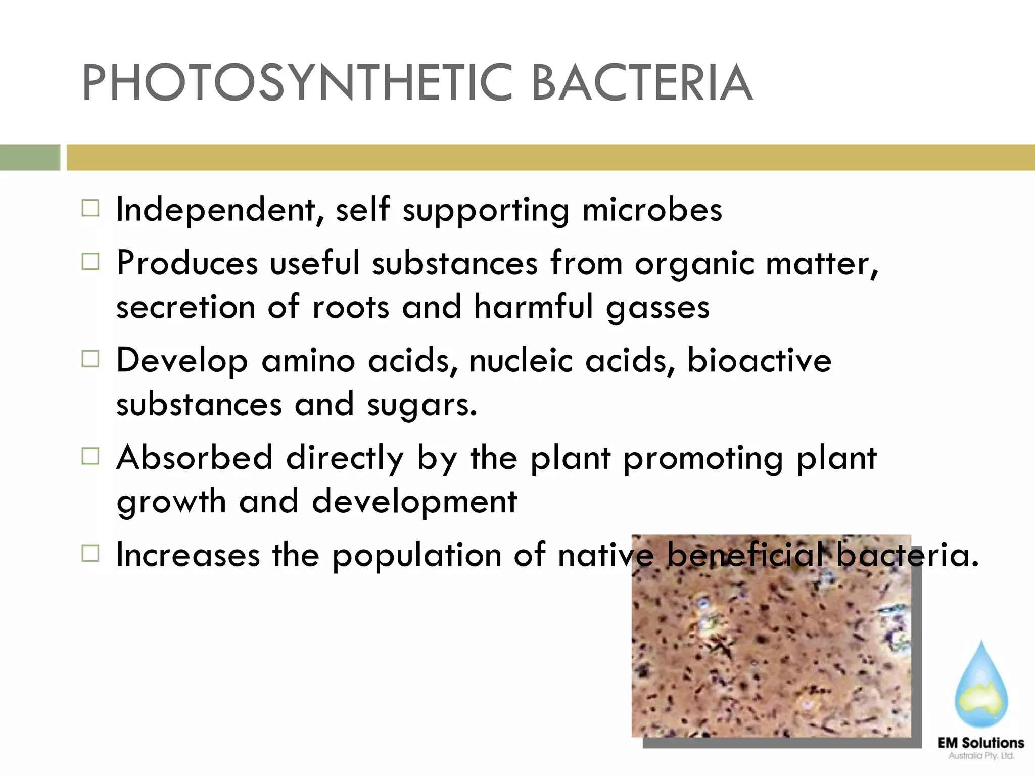 EM - Effective Microbes | PPT