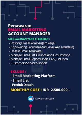 Email Marketing - Account Manager | PDF