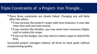 Comprehensive Guide to Project Management: Concepts, Life Cycle, and ...