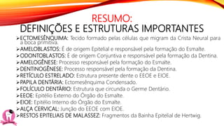 EMBRIOLOGIA HUMANA: ODONTOGÊNESE | PPTX