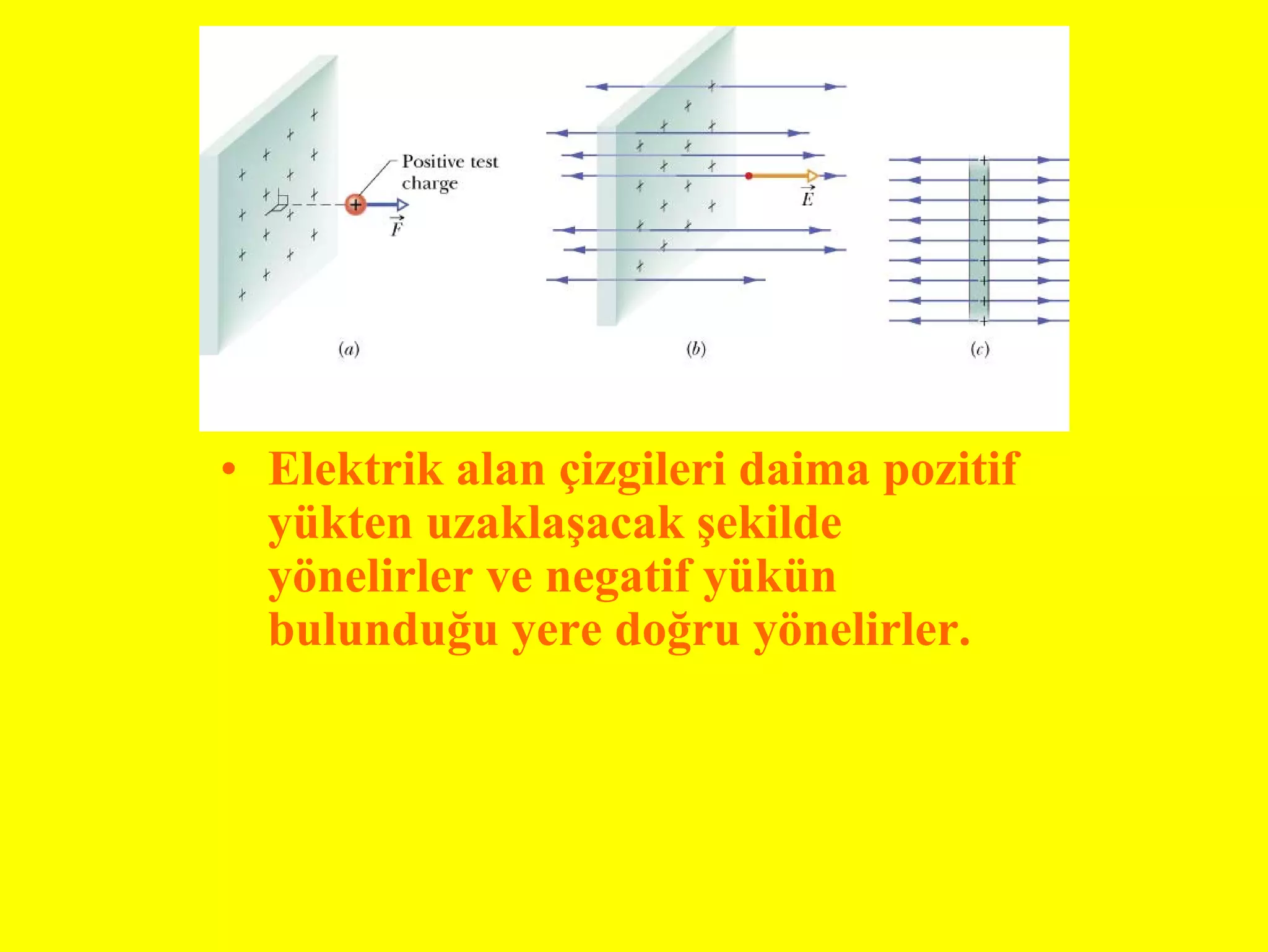 Elektrik Alan | PDF