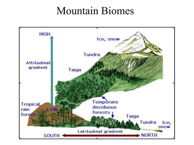 EM 1.5 ecological succesion and biome | PPT