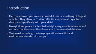 Specimen Preperation for Electron Microscope .pptx