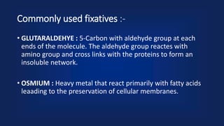 Specimen Preperation for Electron Microscope .pptx
