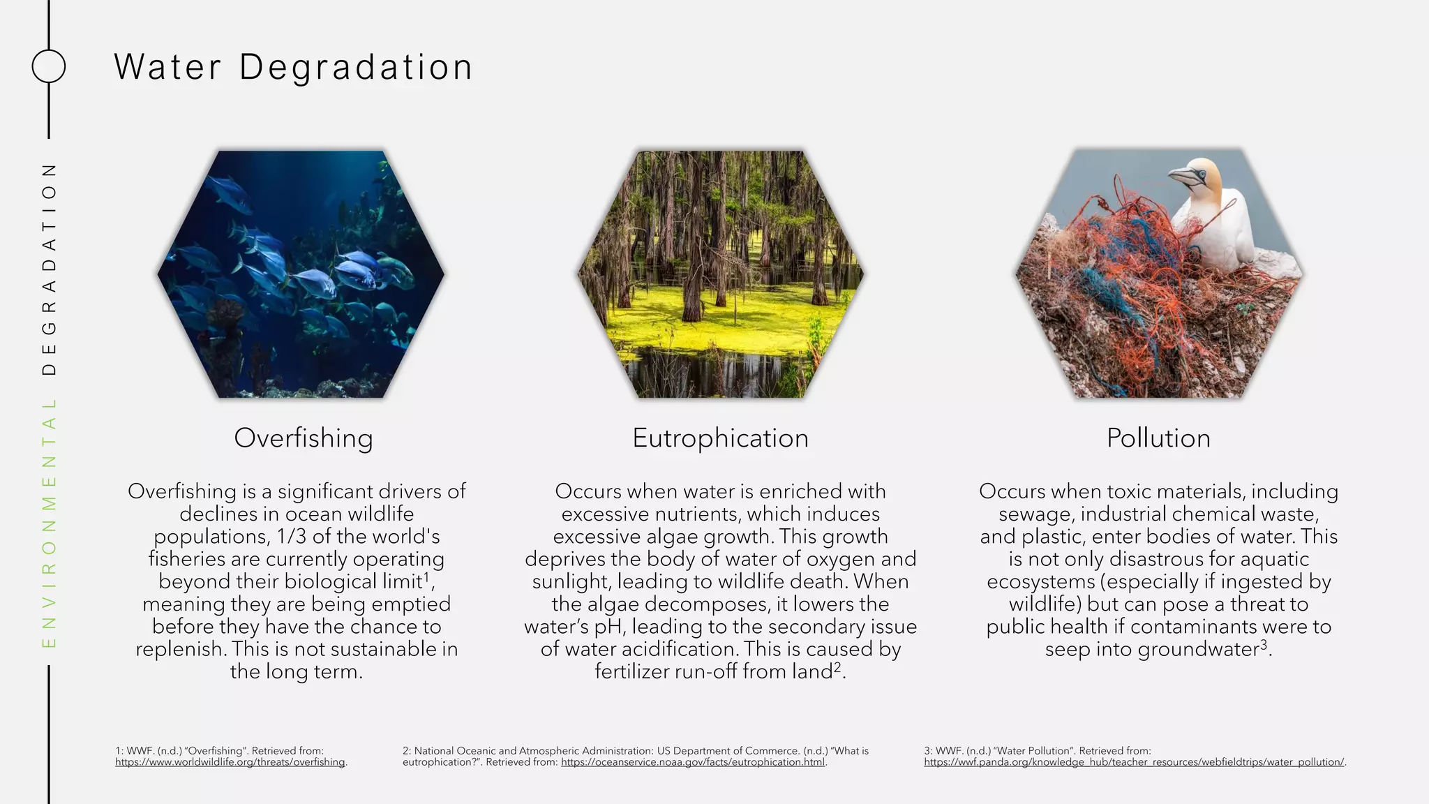 Investigating Environmental Degradation | PPT