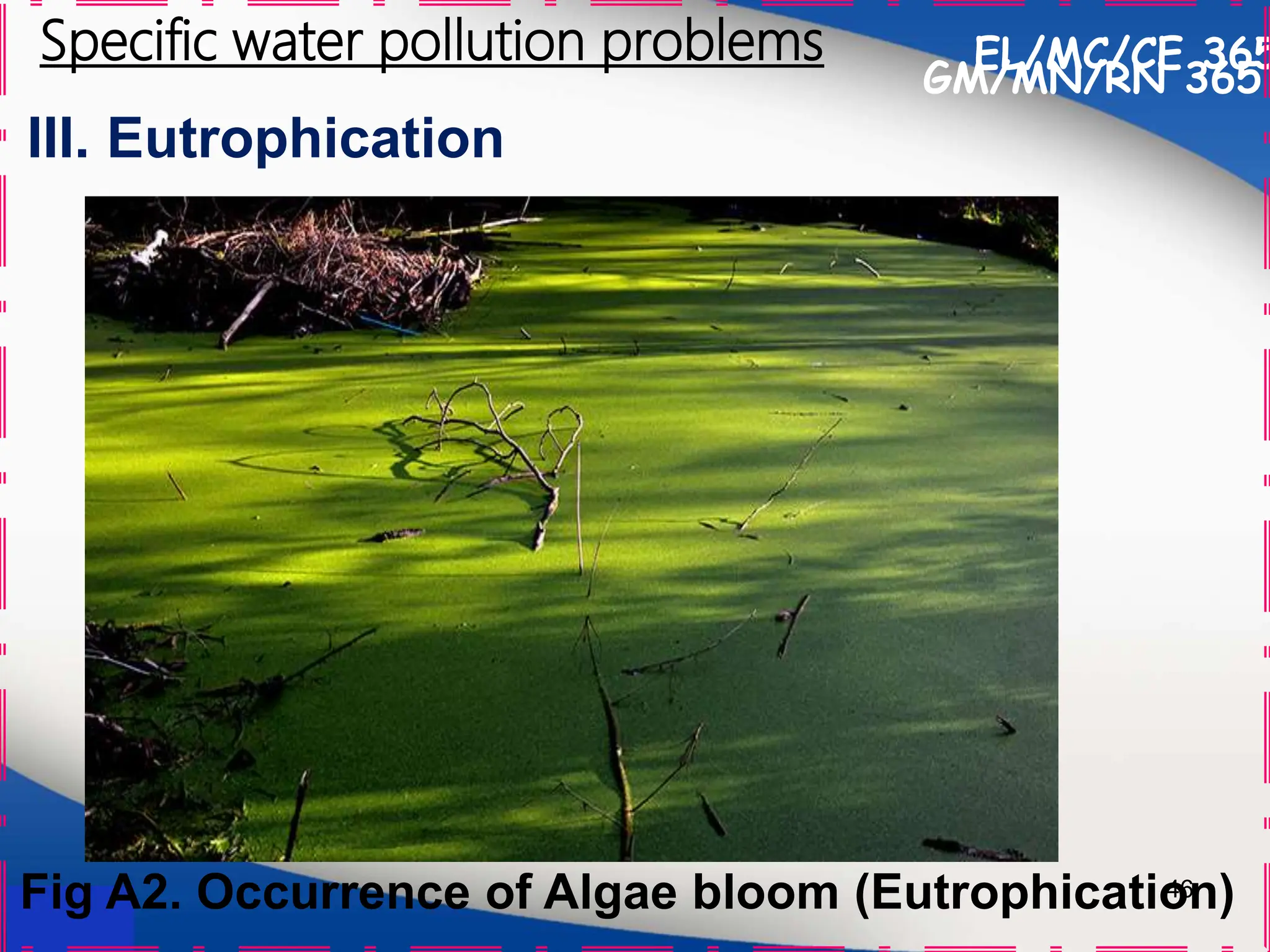 EM 365_Ch6_WATER POLLUTION ISSUES-1.pptx