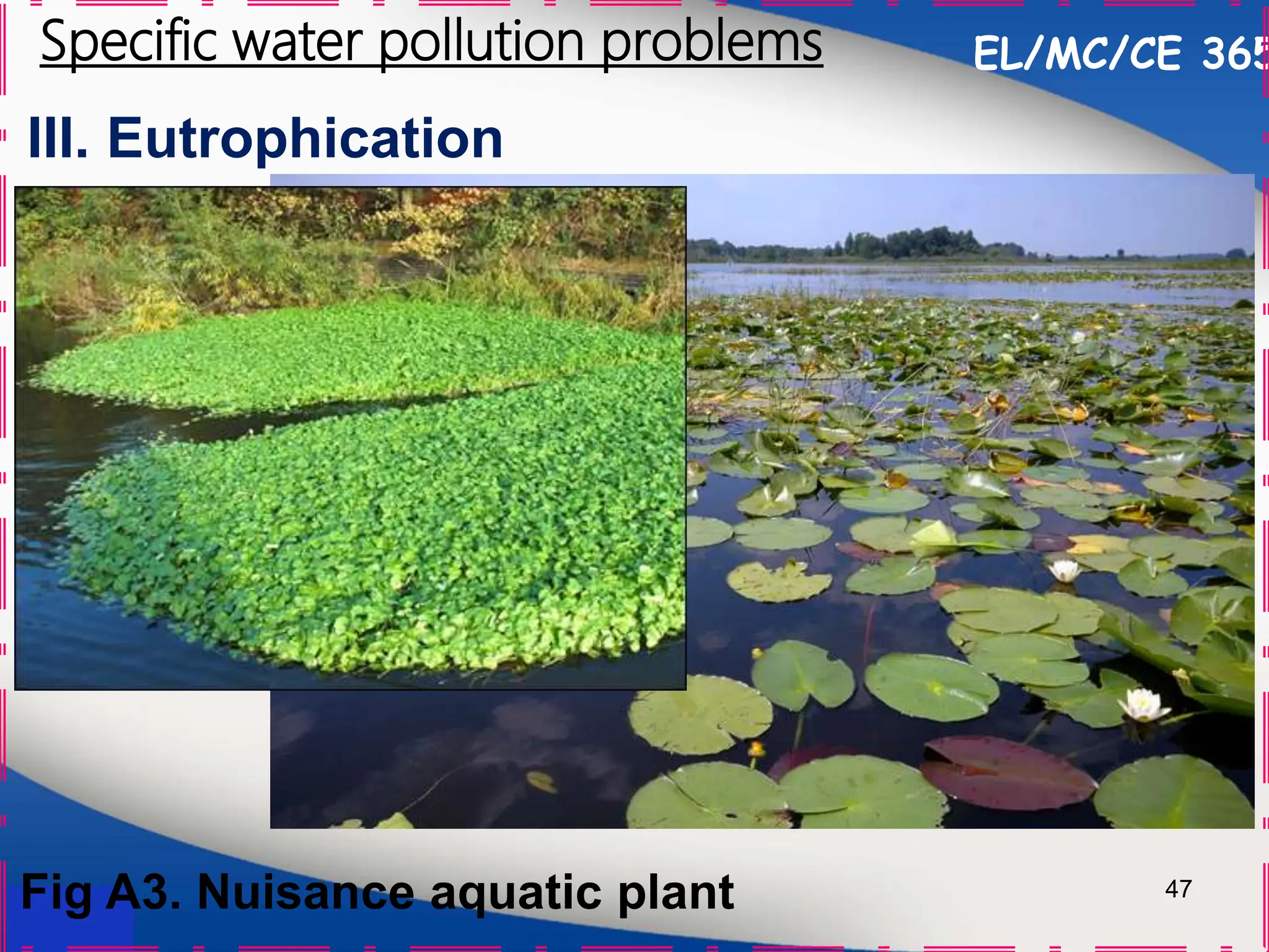 EM 365_Ch6_WATER POLLUTION ISSUES-1.pptx