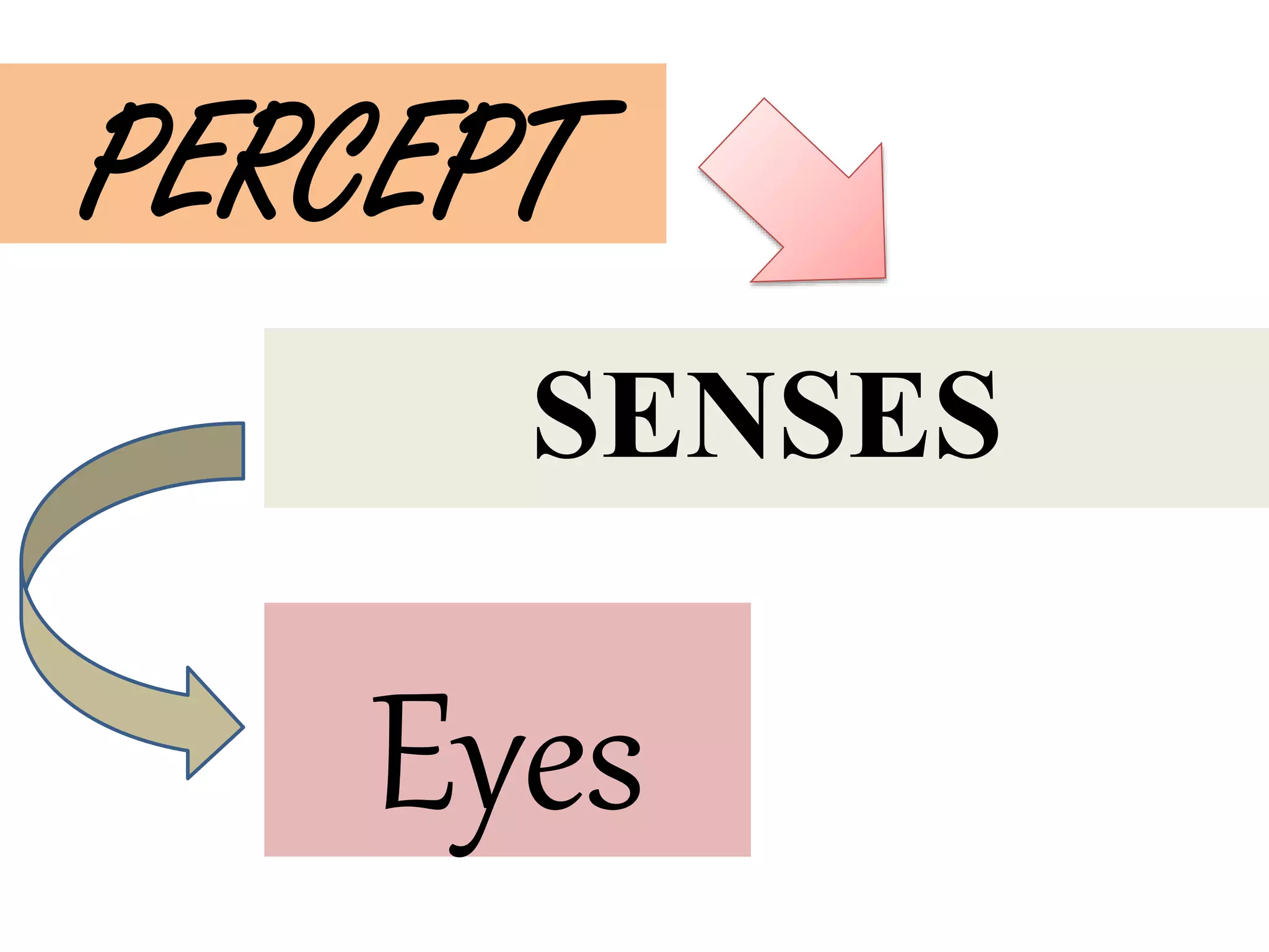 Em8 correcting perceptual & decoding deficits | PPTX