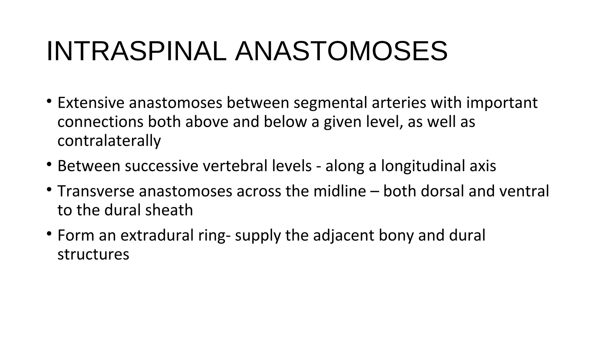 Vascular Anatomy of Spinal Cord | PPT