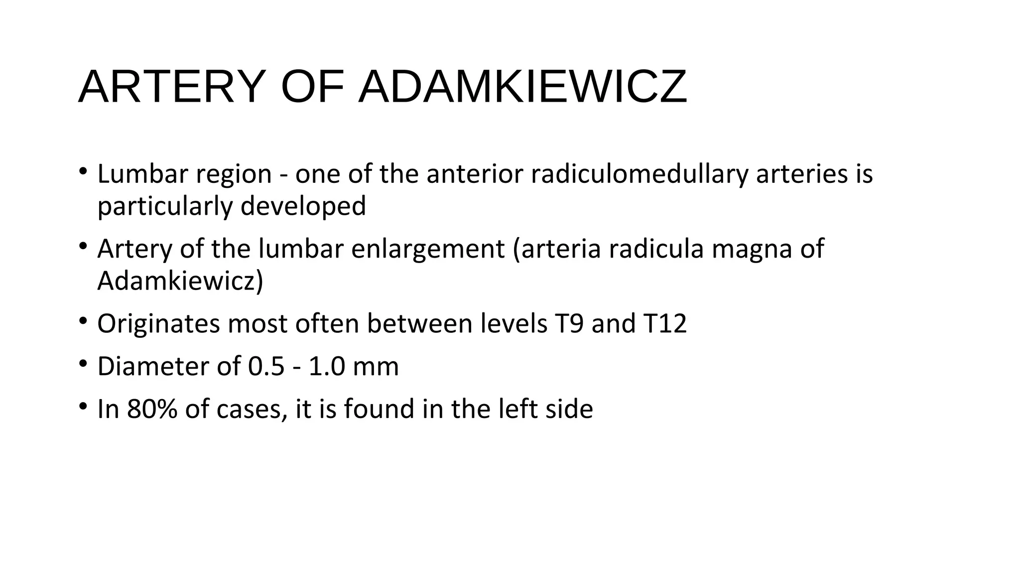 Vascular Anatomy of Spinal Cord | PPT